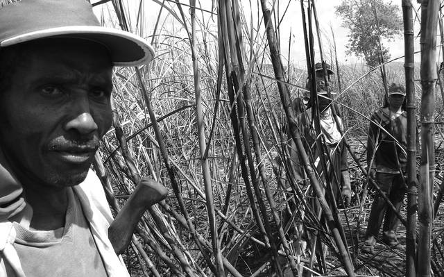 O trabalho escravo é uma realidade no Brasil. E não há uma pessoa presa ...