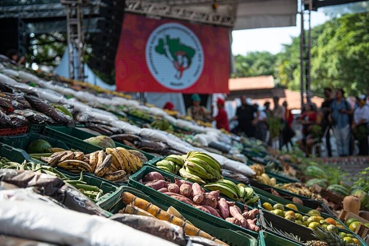 Precisamos falar sobre o MST